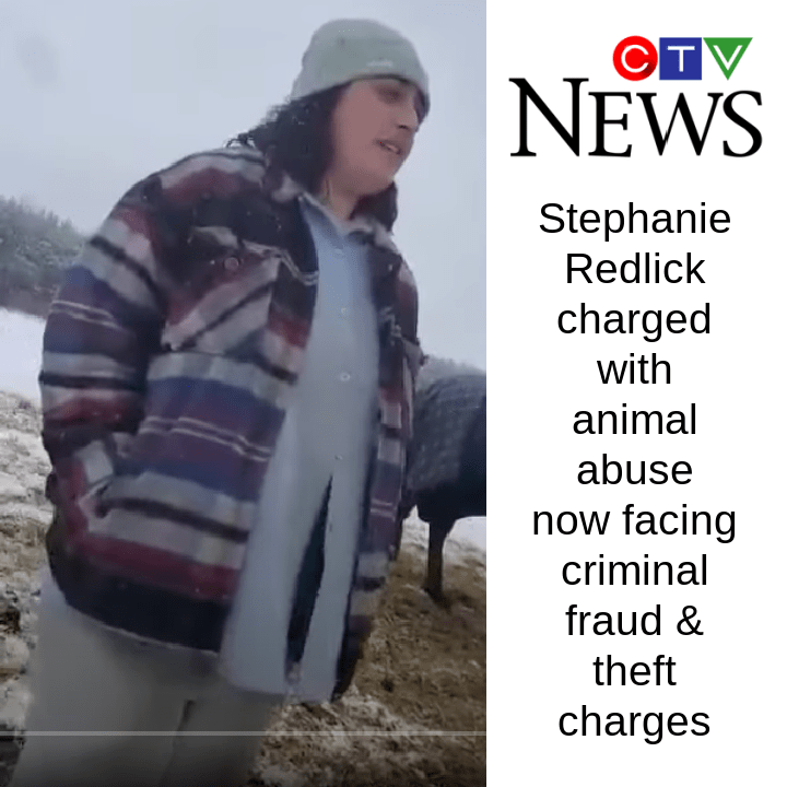 BEWARE OF STEPHANIE REDLICK - Ban Horse Slaughter