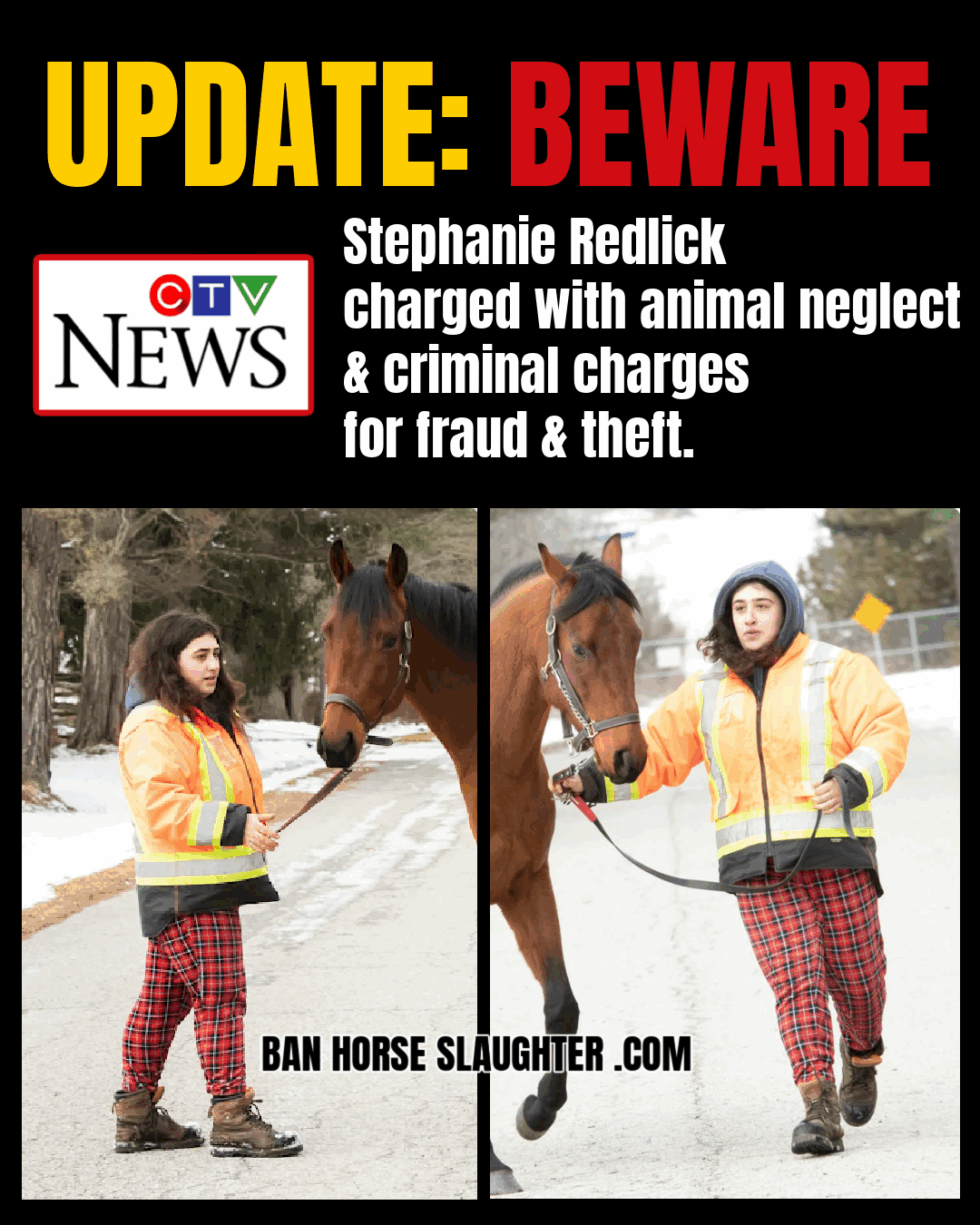 STEPHANIE REDLICK VS AWS CLASS ACTION SUIT? - Ban Horse Slaughter
