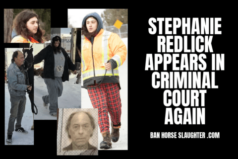 THE ONE WHERE SHE STATES SHE QUALIFIES FOR LEGAL AID - Ban Horse Slaughter