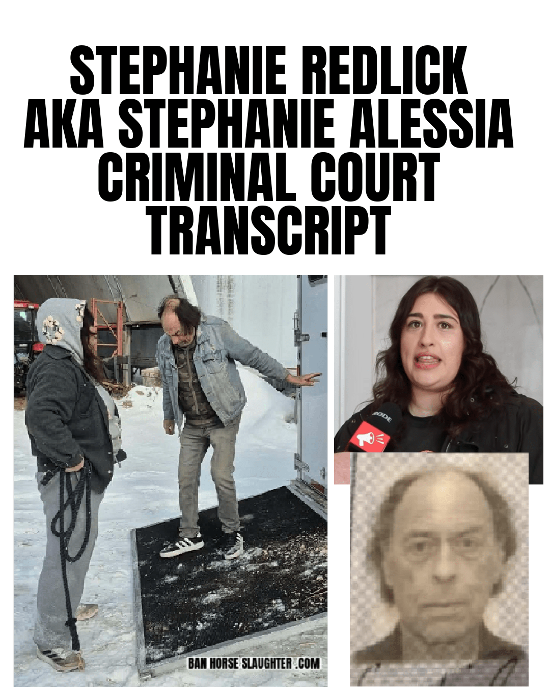 STEPHANIE REDLICK IN CRIMINAL COURT - Ban Horse Slaughter