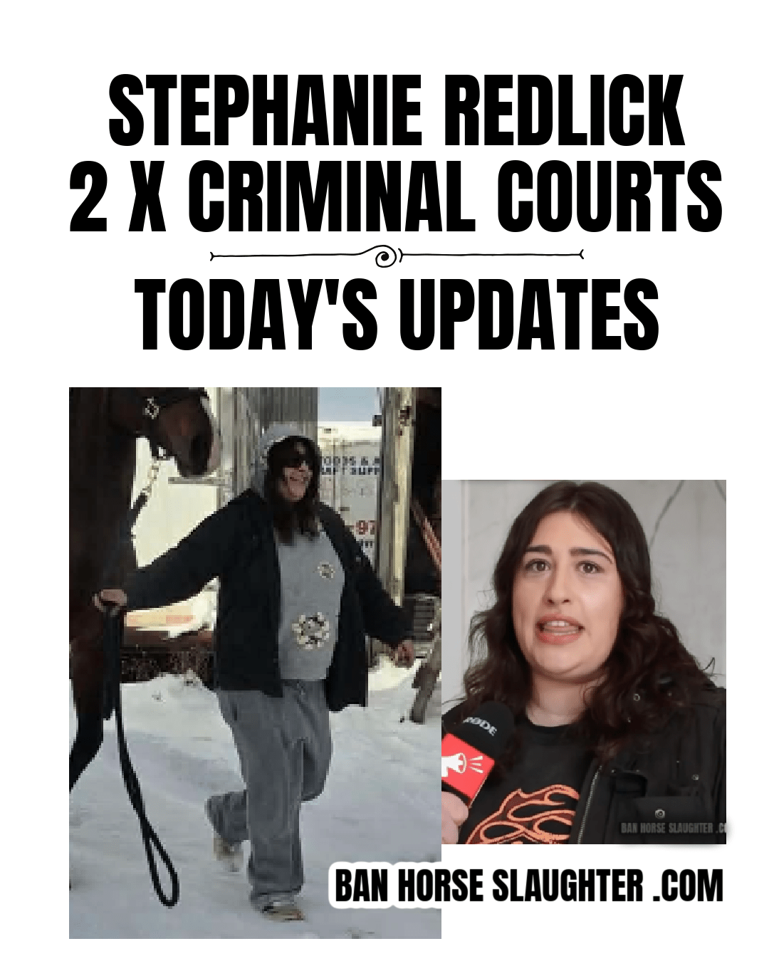 STEPHANIE REDLICK CRIMINAL COURT AGAIN - Ban Horse Slaughter